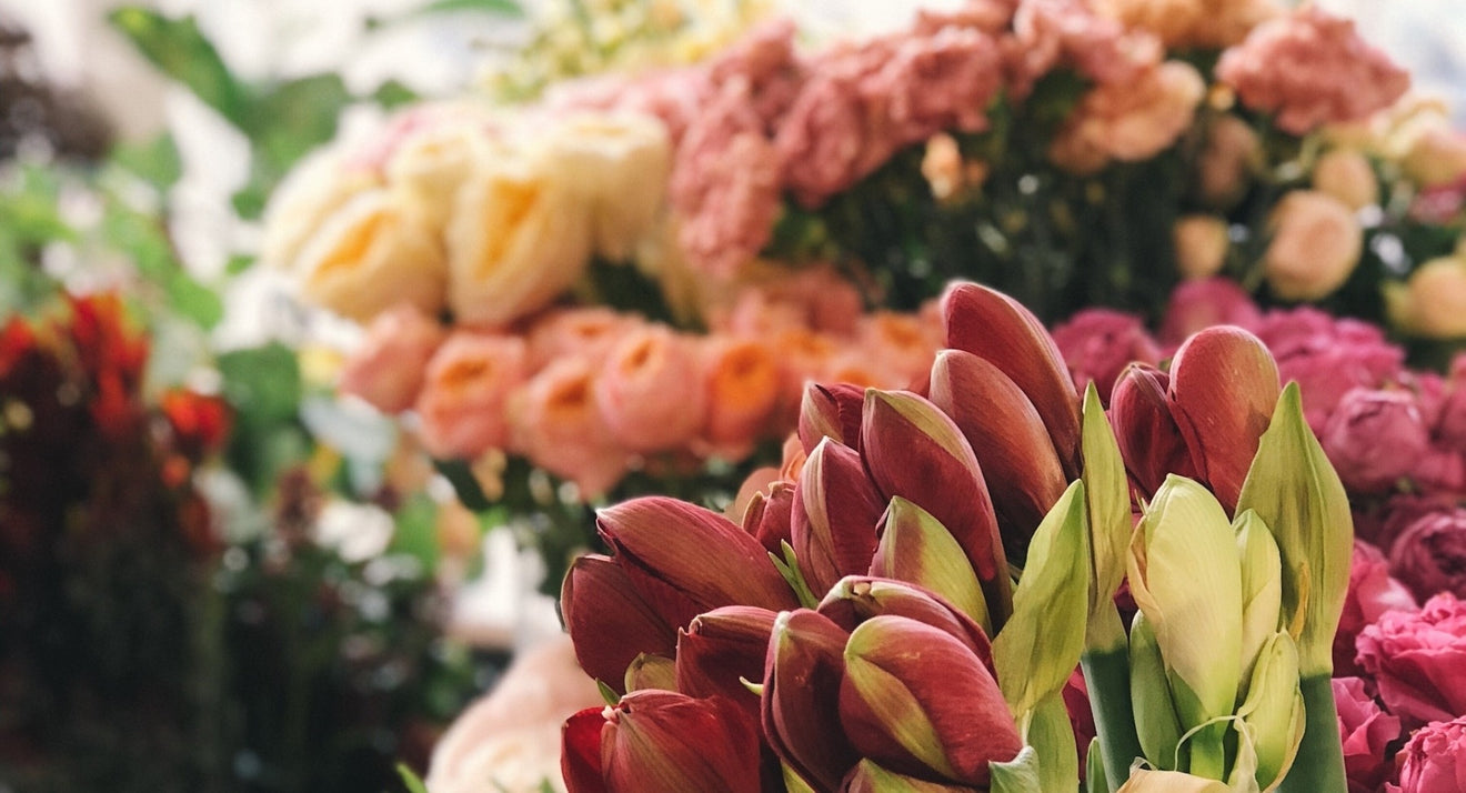 Corporate Flowers | Flower Train Sydney | Seasonal Blooms