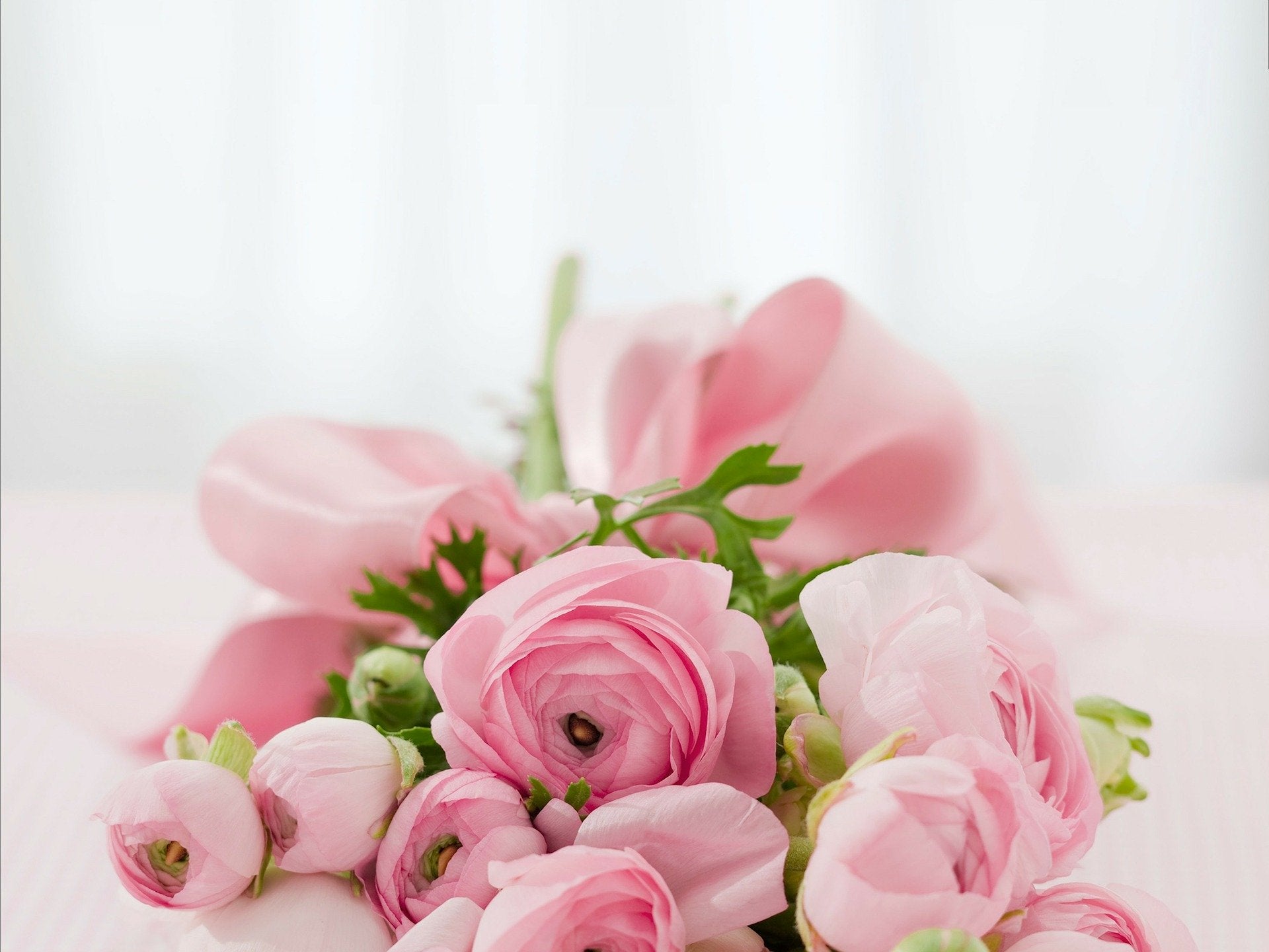Flower Train | Sydney's Local Florist | Same-Day Flower Delivery